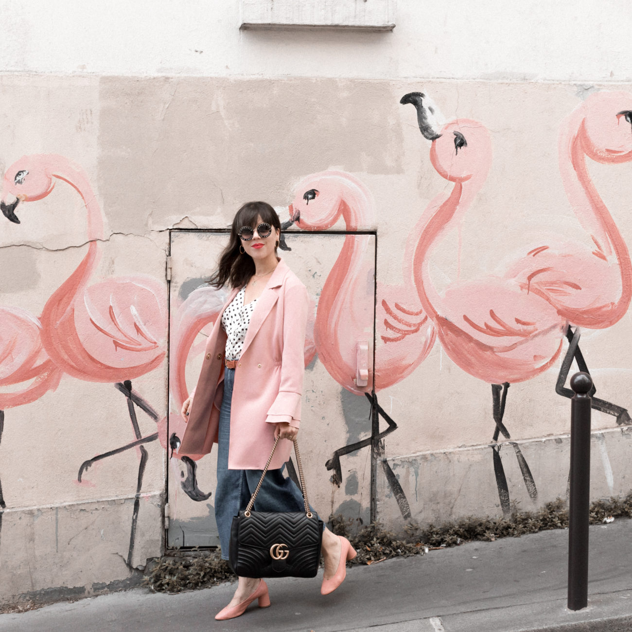 (FR) Les Flamants roses - Pauline